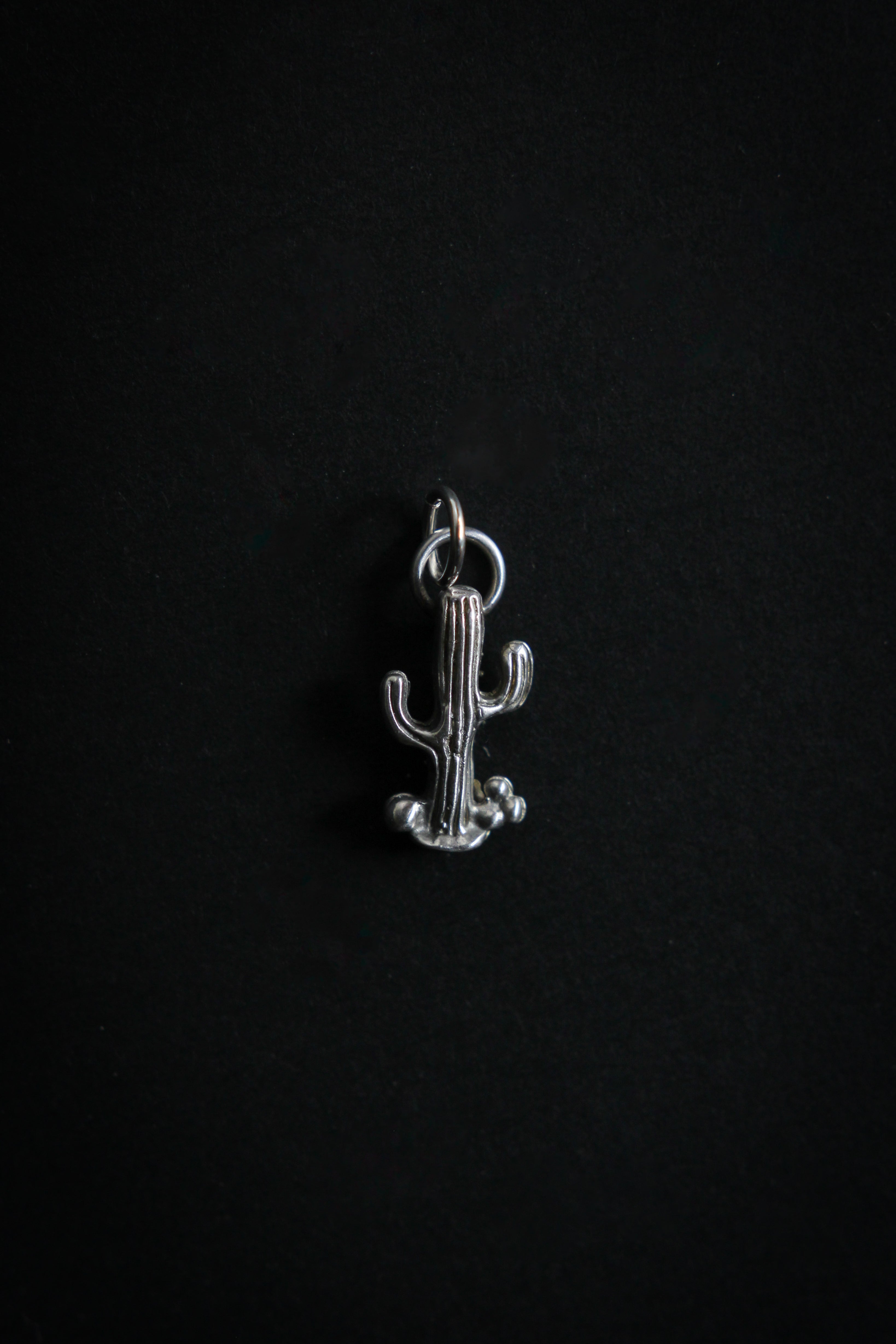Sterling Silver Cacti Charm – hellbent silversmith